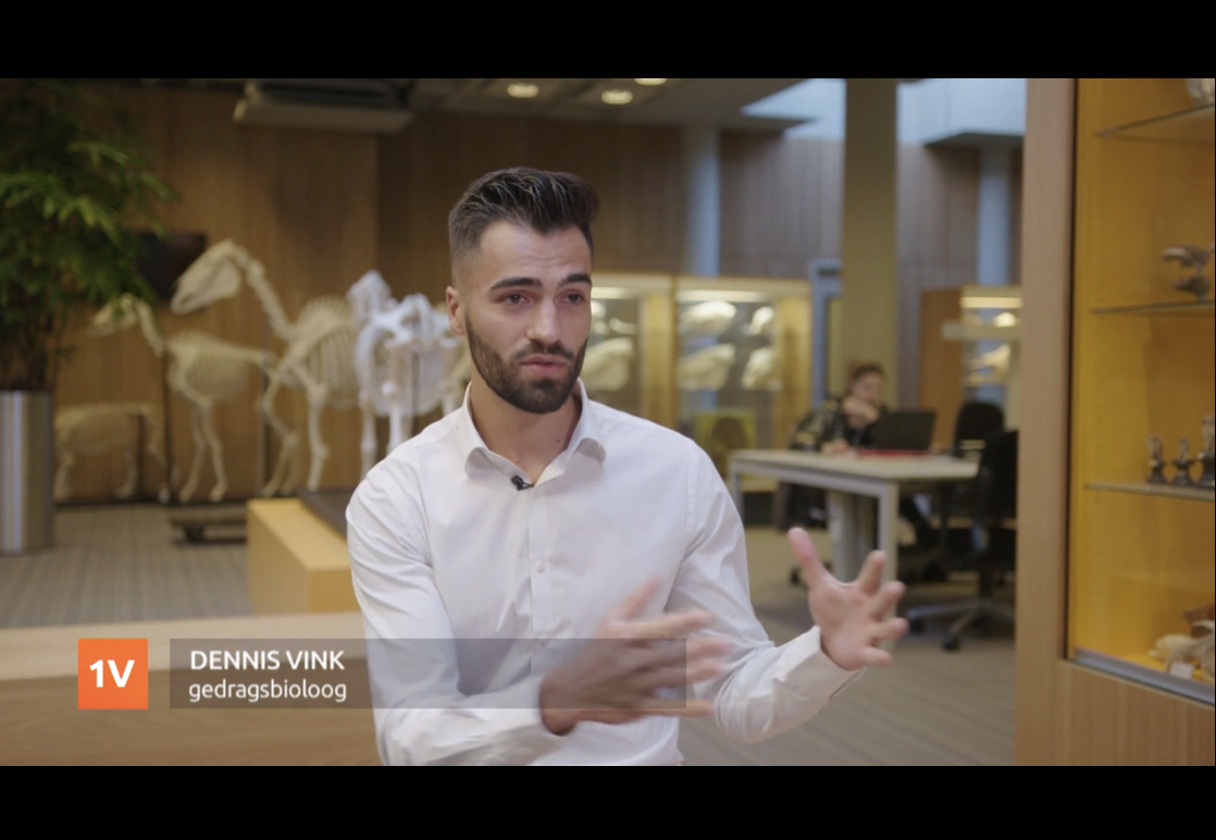 Media and interviews - Plantbased Dennis