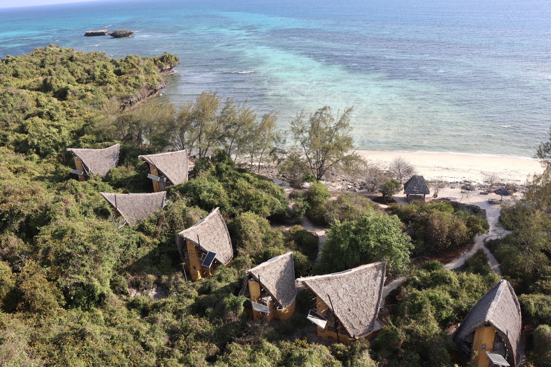 Chumbe Island Coral Park - Eco-tourism at its finest - Plantbased Dennis